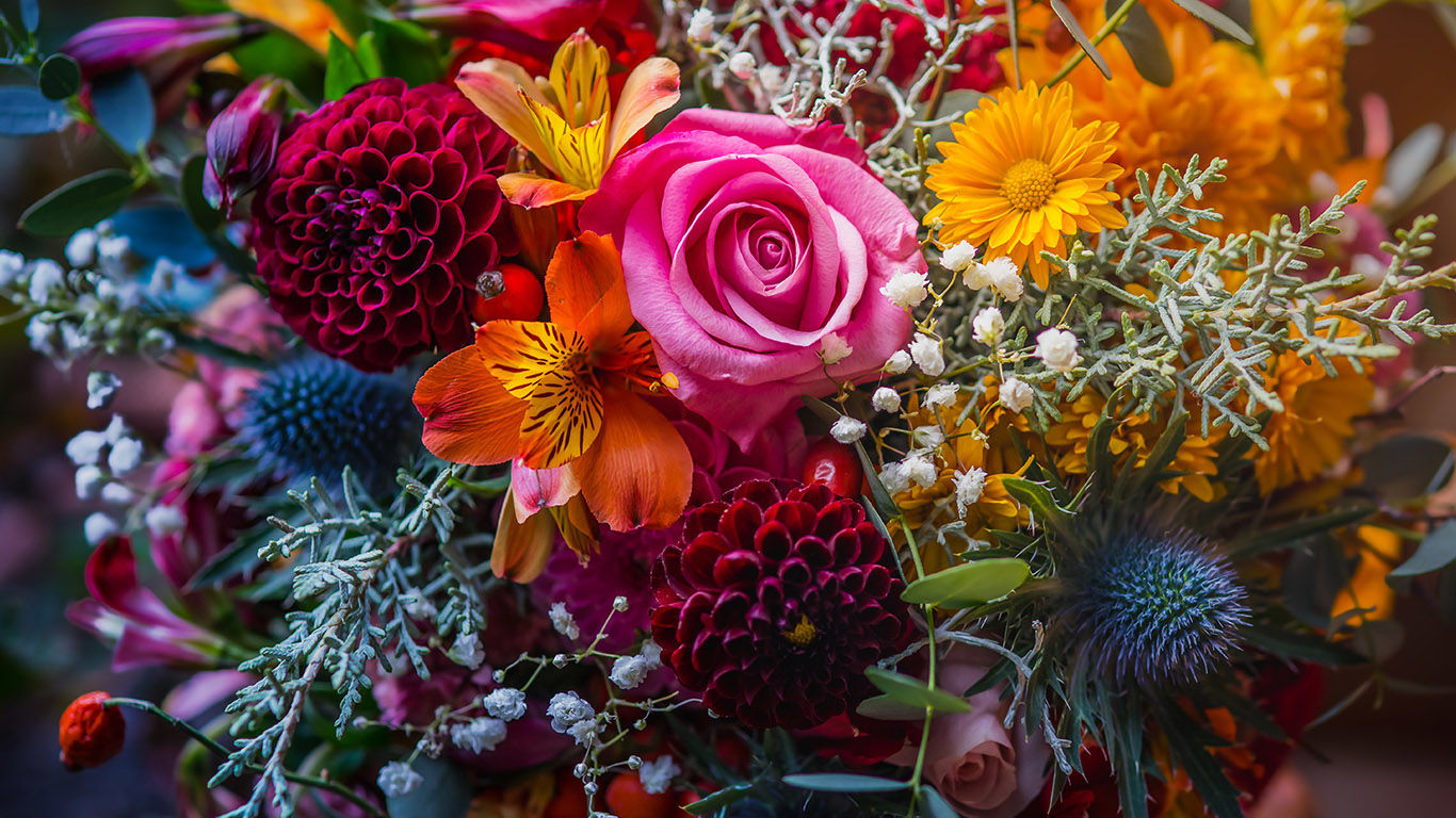 As Flores de cada Signo: descubra qual é a sua!