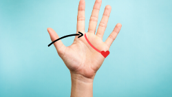 Qual è il significato della linea del cuore della mano?
