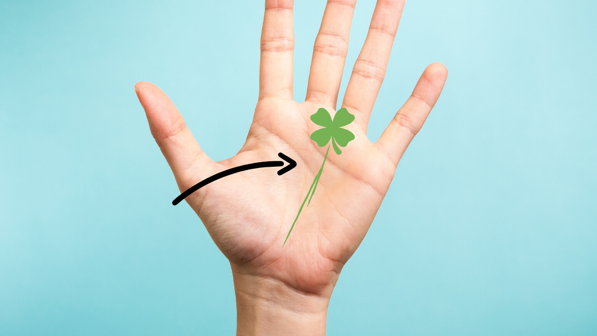 Qual è il significato della linea del destino?