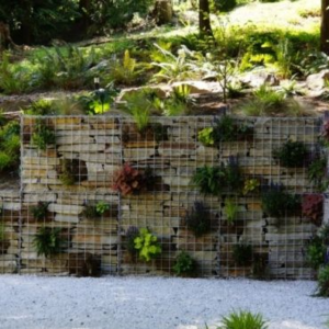Mur gabion végétal : tout savoir pour l'adopter